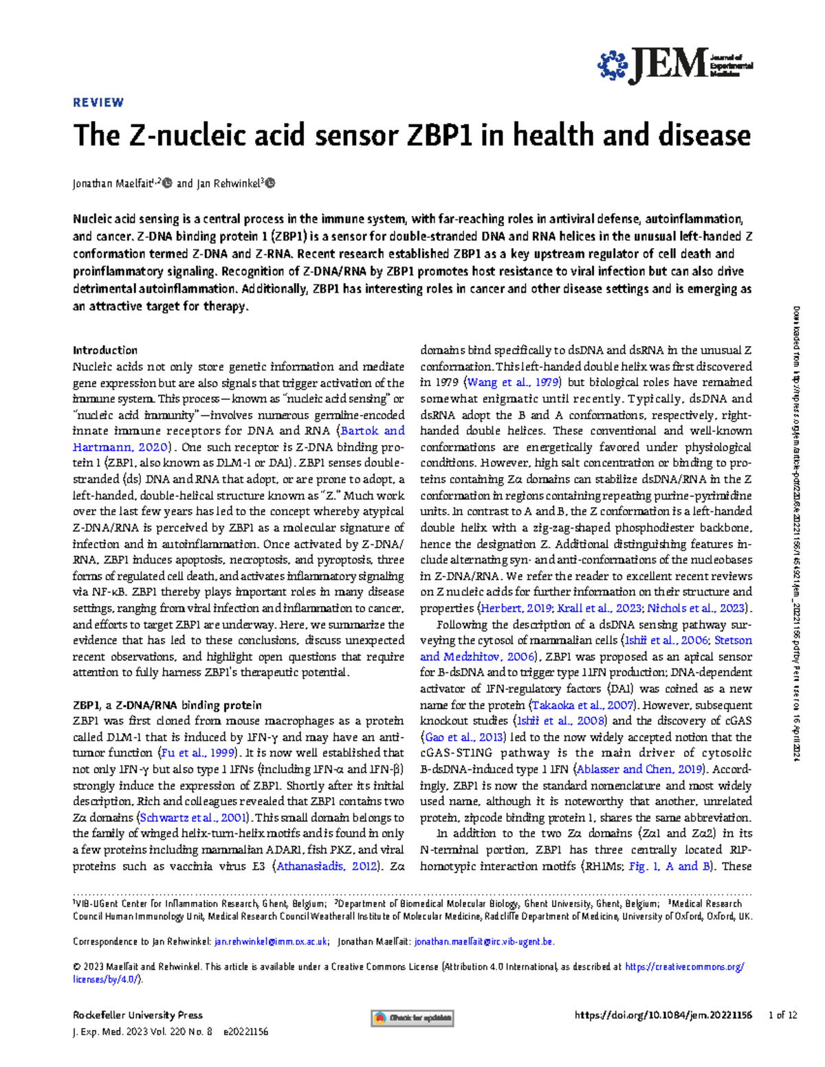 The Z-nucleic acid sensor ZBP1 in health and disease - REVIEW The Z ...