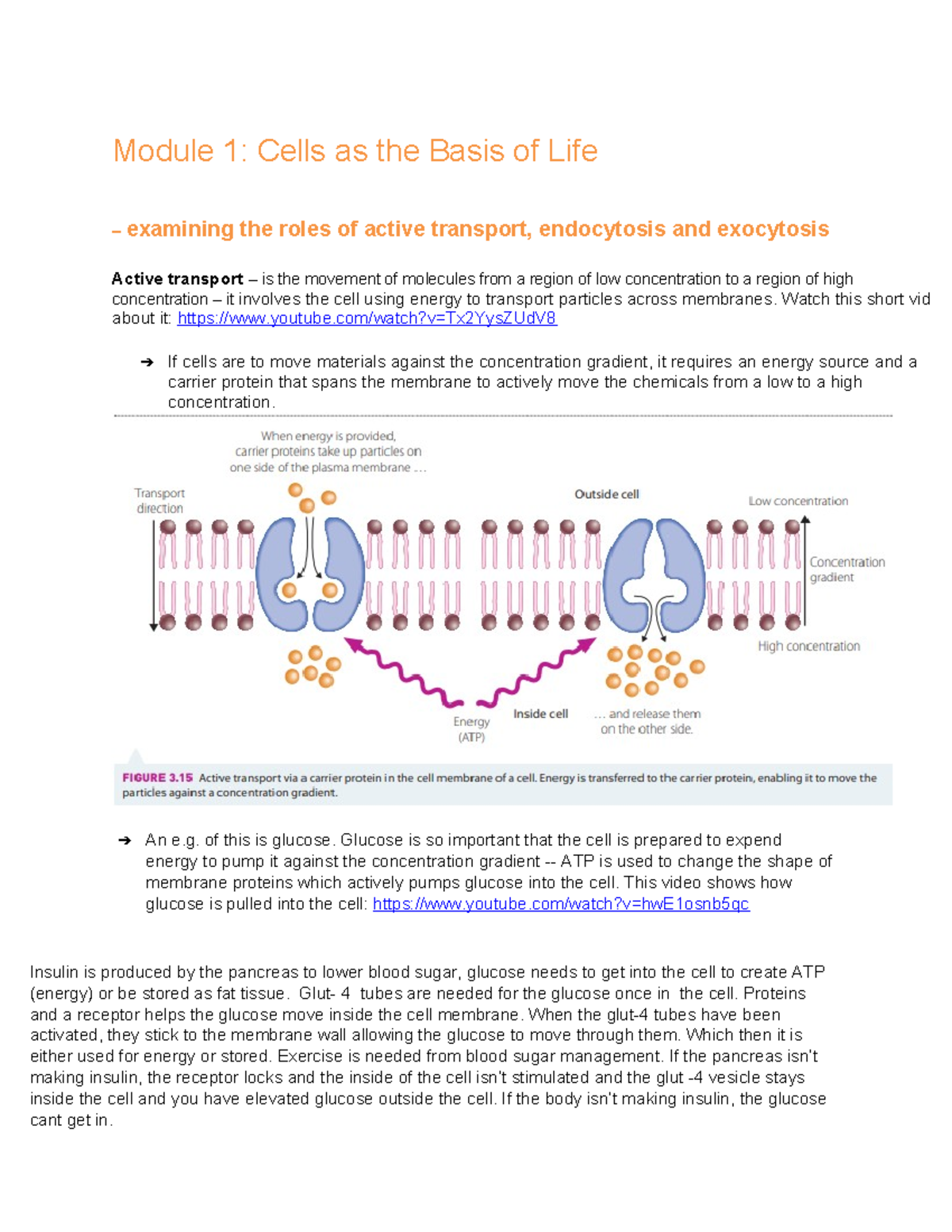 Module 1 Biology Notes - lesson 4 - Module 1: Cells as the Basis of ...