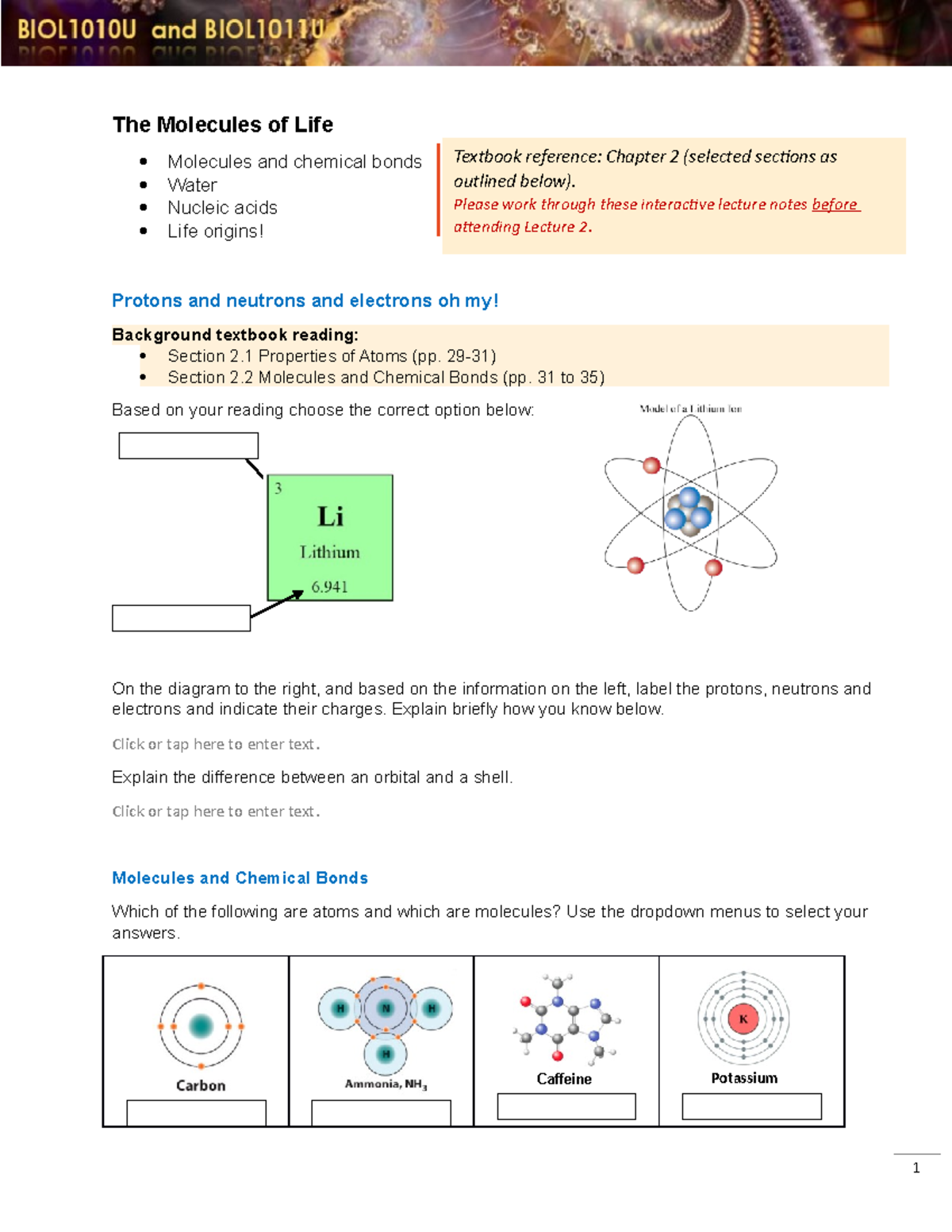 L2 Molecules of Life interactive notes 2022 - The Molecules of Life ...