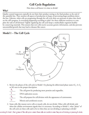 AP Biology Chapter 7 TEST - AP Biology Chapter 7 TEST Name ...