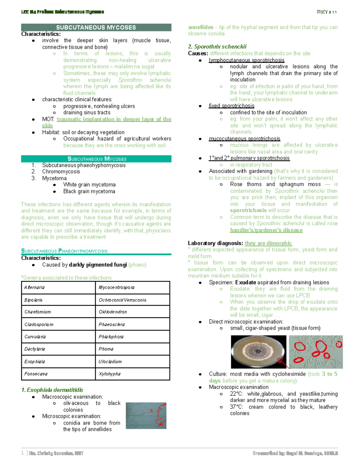 Mycv Prelim Topic - SUBCUTANEOUS MYCOSES Characteristics: involve the deeper skin layers (muscle ...