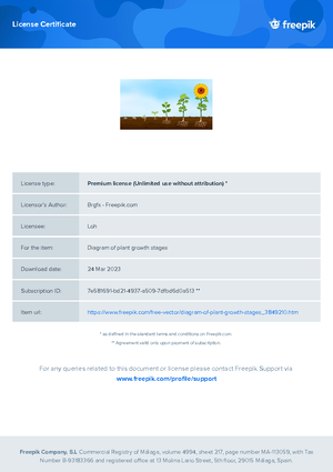License the process of growing sunflower from seed to ripe plant vector ...