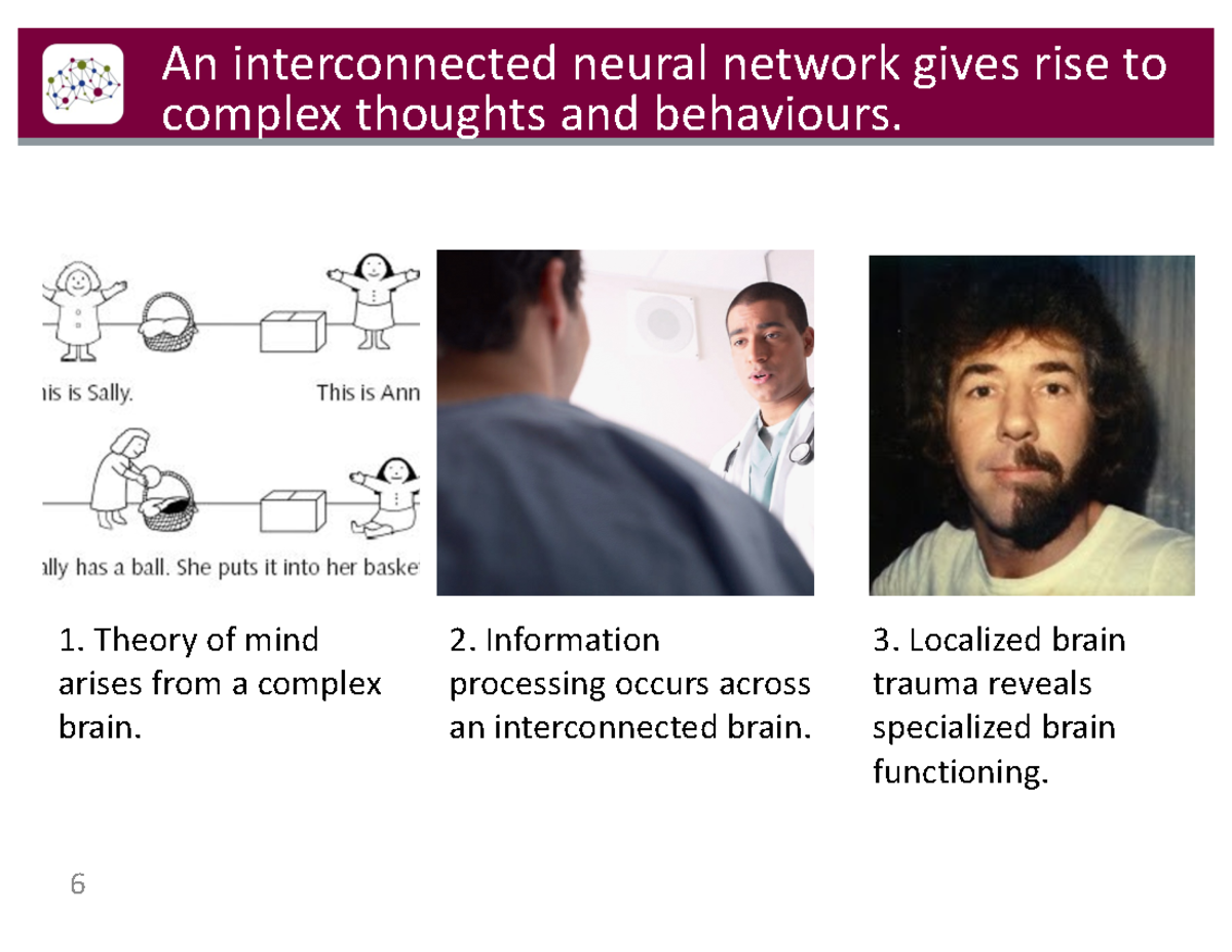 Neuro Lecture 2 - An interconnected neural network gives rise to ...