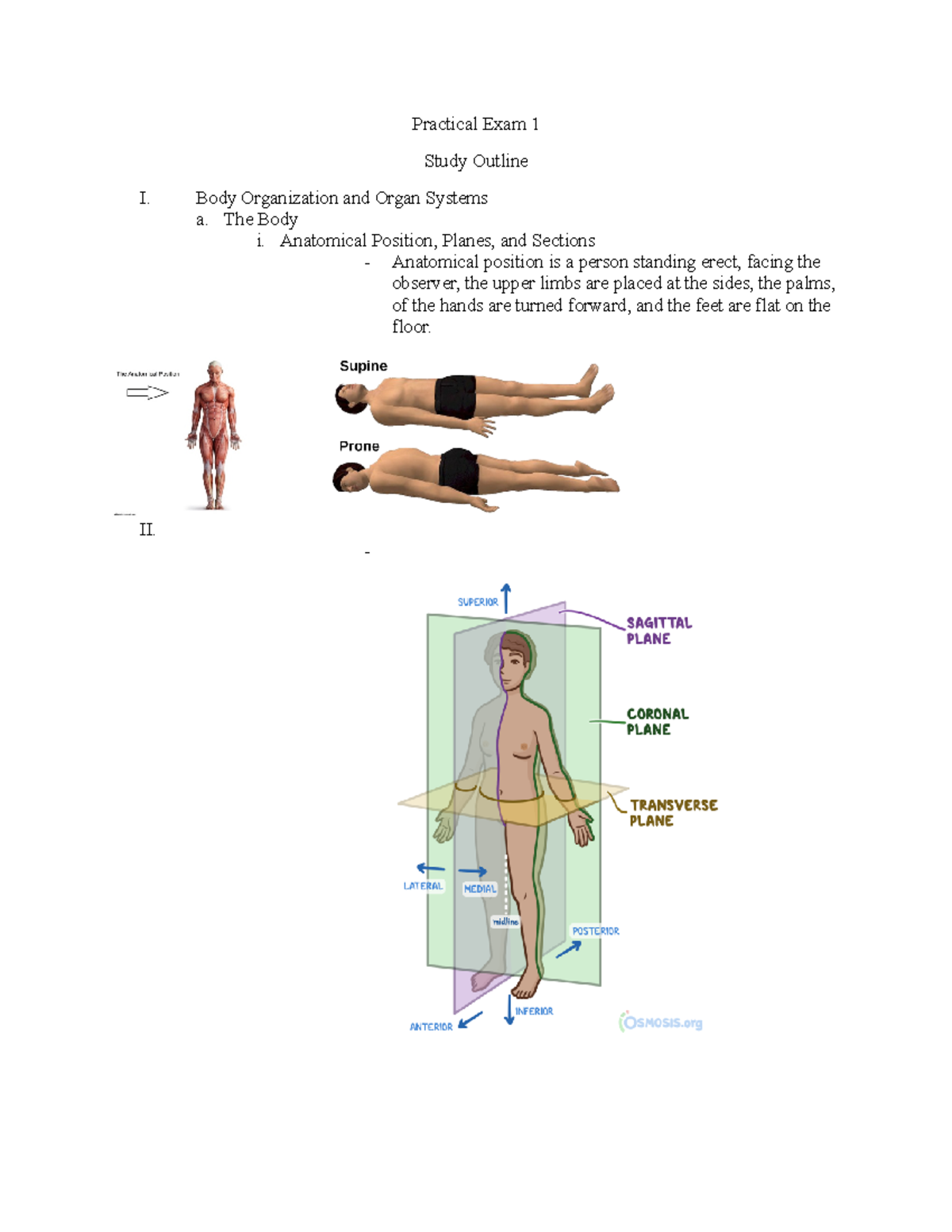 Practical Exam 1 Study Outline - Studocu