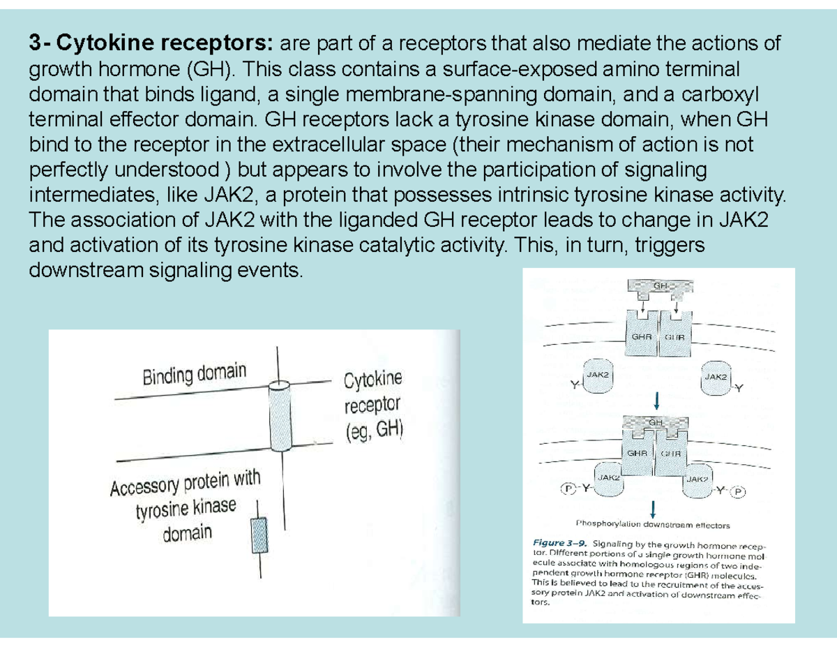 Physio- Endocrine Glands-A4 - 3- Cytokine receptors: are part of a ...