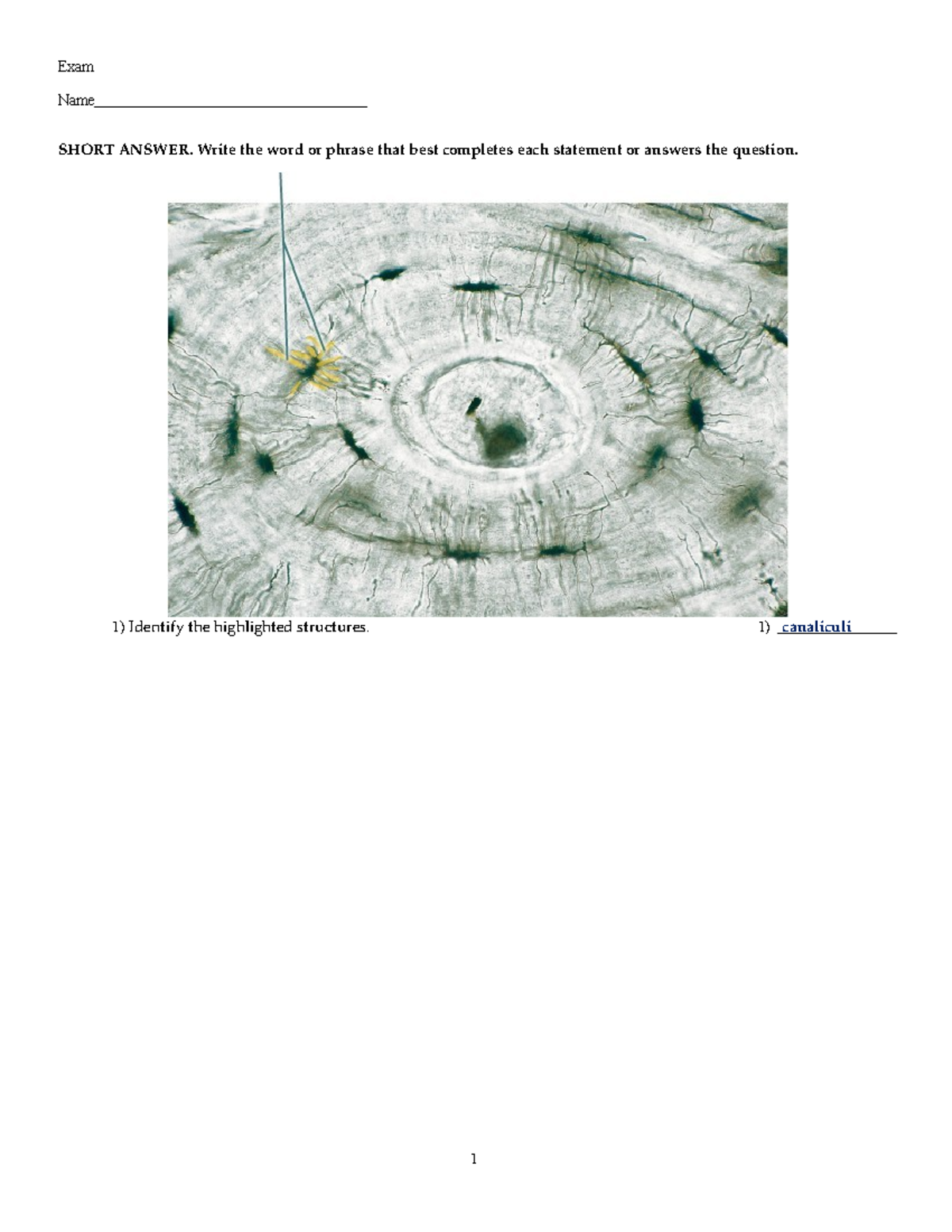 Unit 2 Lab Exam - Unit 2 Lab Exam - 1 Exam Name SHORT ANSWER. Write the ...