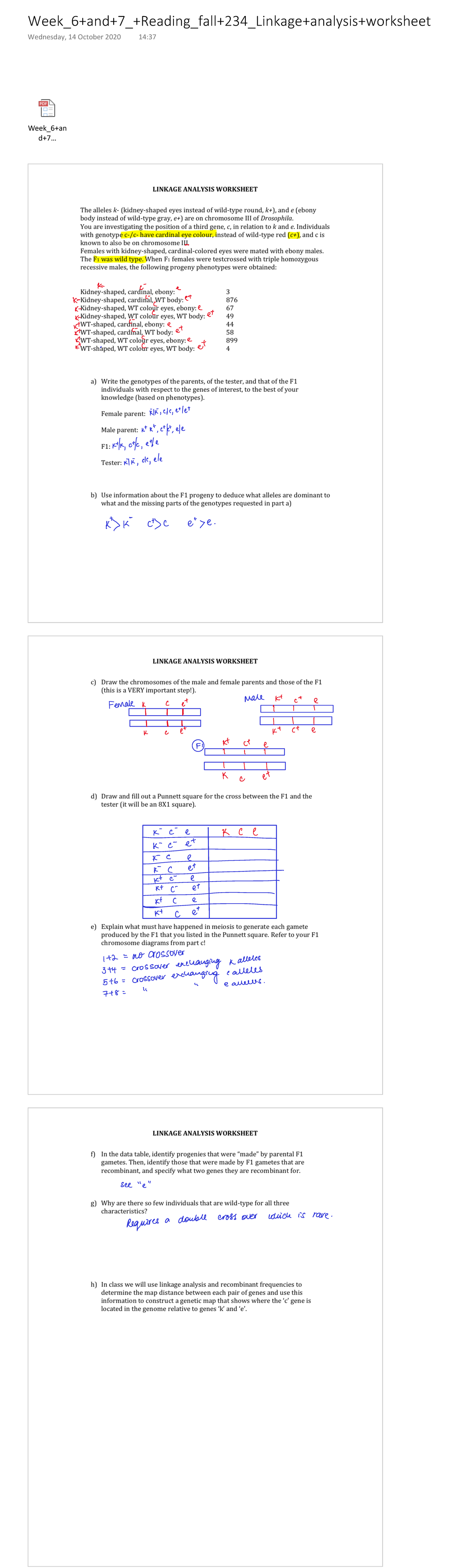 Week 6+and+7 +Reading fall+234 Linkage+analysis+worksheet - BIOL 200 ...