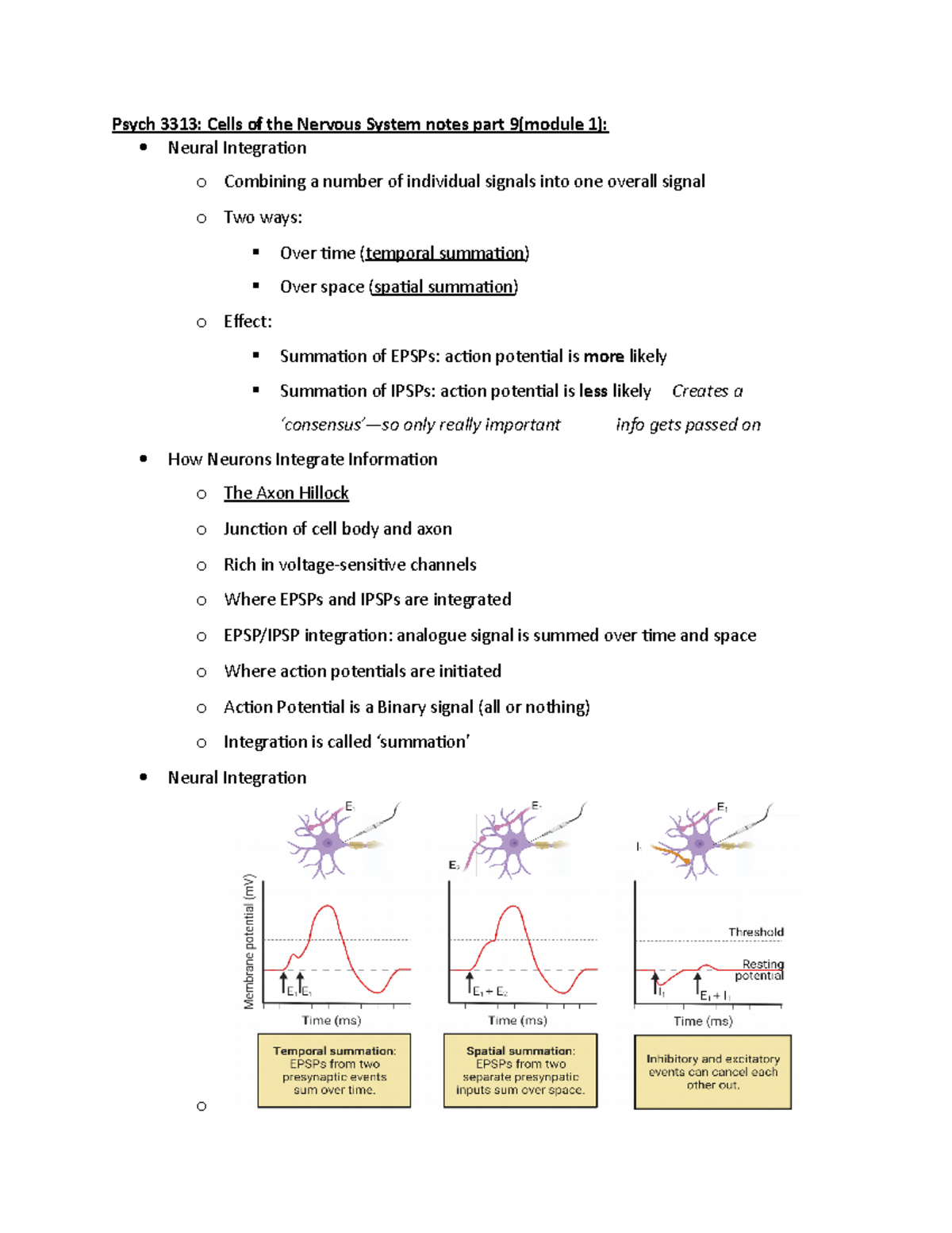 Psych 3313 Cells of the Nervous System notes part 9(module 1) - Studocu
