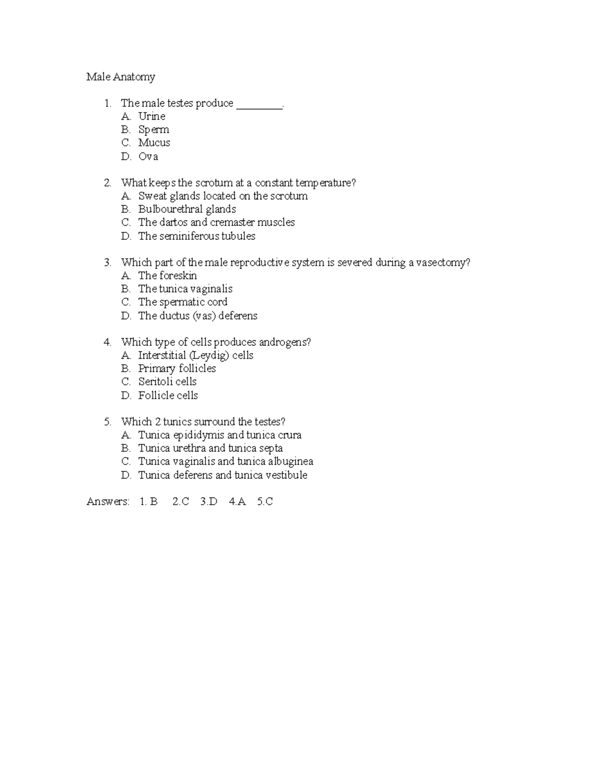 Lecture Questions_Male Reproductive System - Male Anatomy The male ...