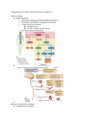 Pathophysiology Reproductive System - Structure and Function of the ...