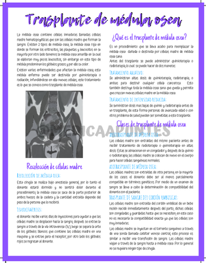 Estructura y Función - ME129 2017 00 - 0/ Link to Item hdl.handle/10757 ...