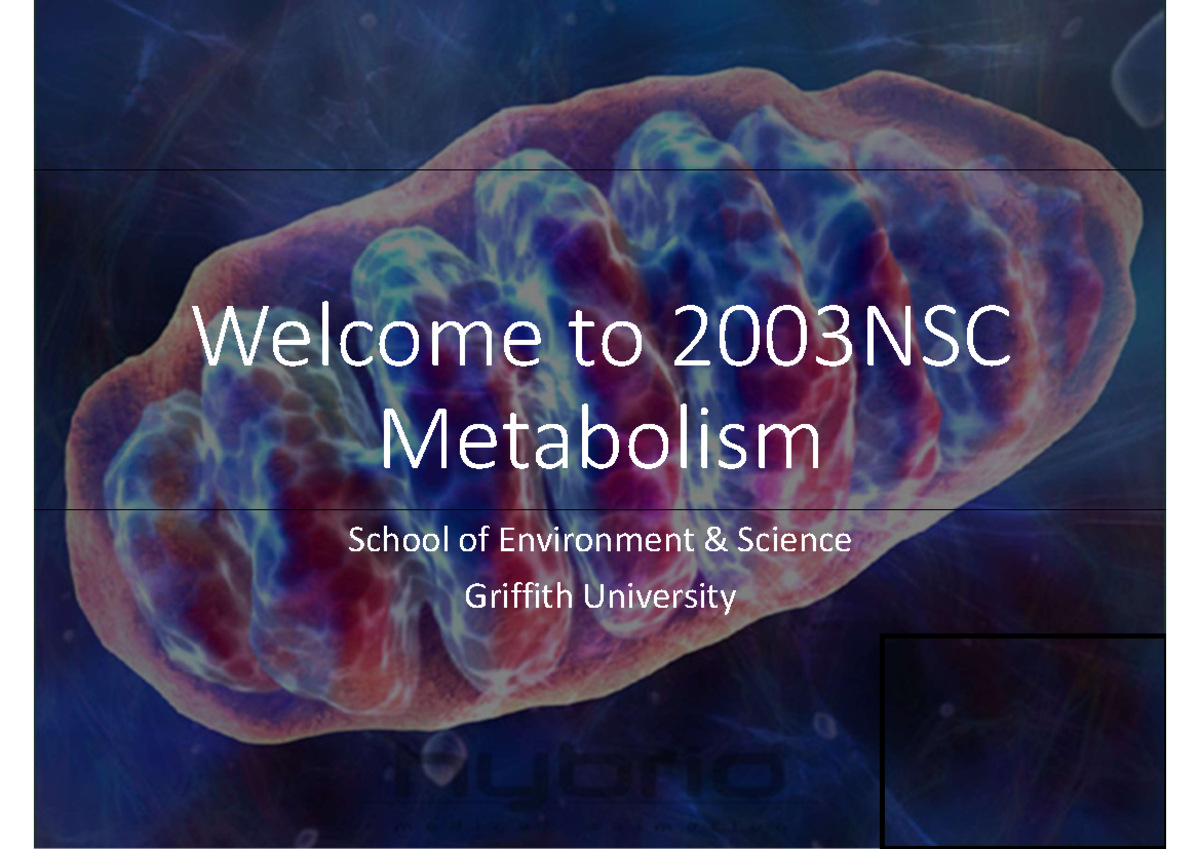 Metabolism Module 1 Lecture Notes Welcome To 2003nsc Metabolism
