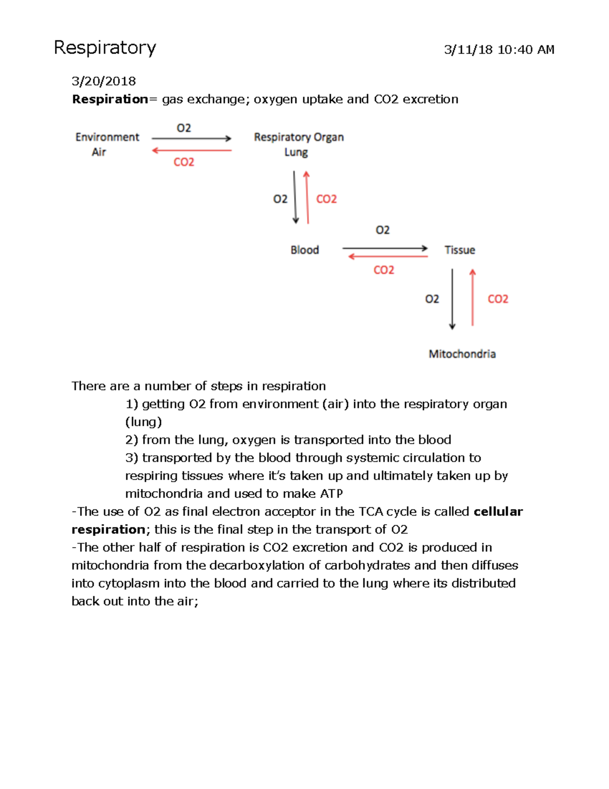 Respiration Final exam material - Respiratory 3/11/18 10:40 AM 3/20 ...
