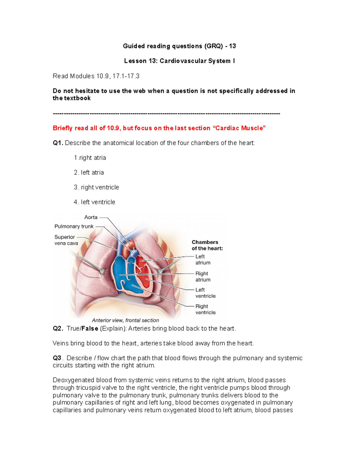 GRQ-13 Cardiovascular I - Guided reading questions (GRQ) - 13 Lesson 13 ...