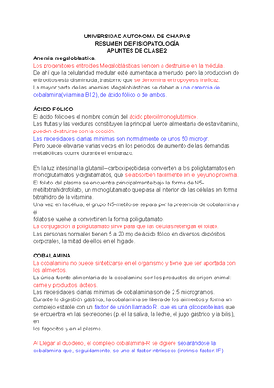 Endotelinas tipos y funciones - 64 Revista Med EndotElina-1 ...