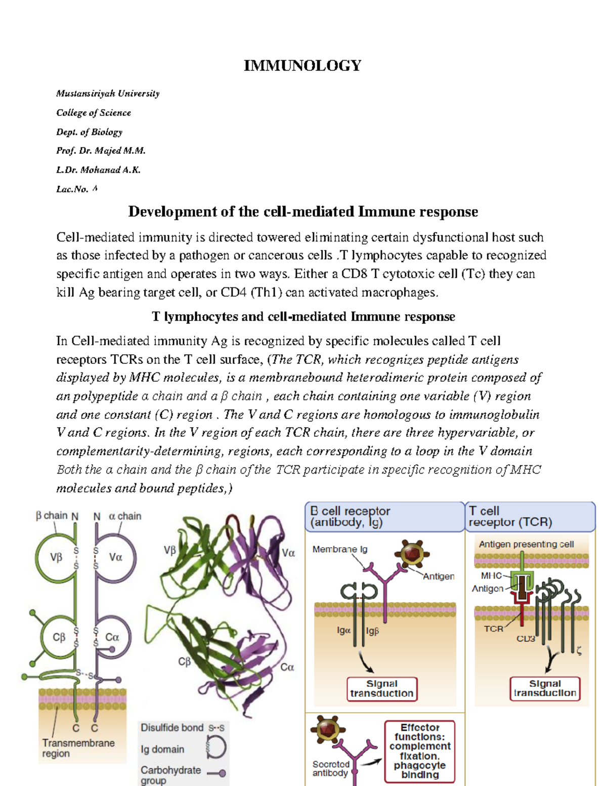 Development of the cell-mediated Immune response - IMMUNOLOGY ...