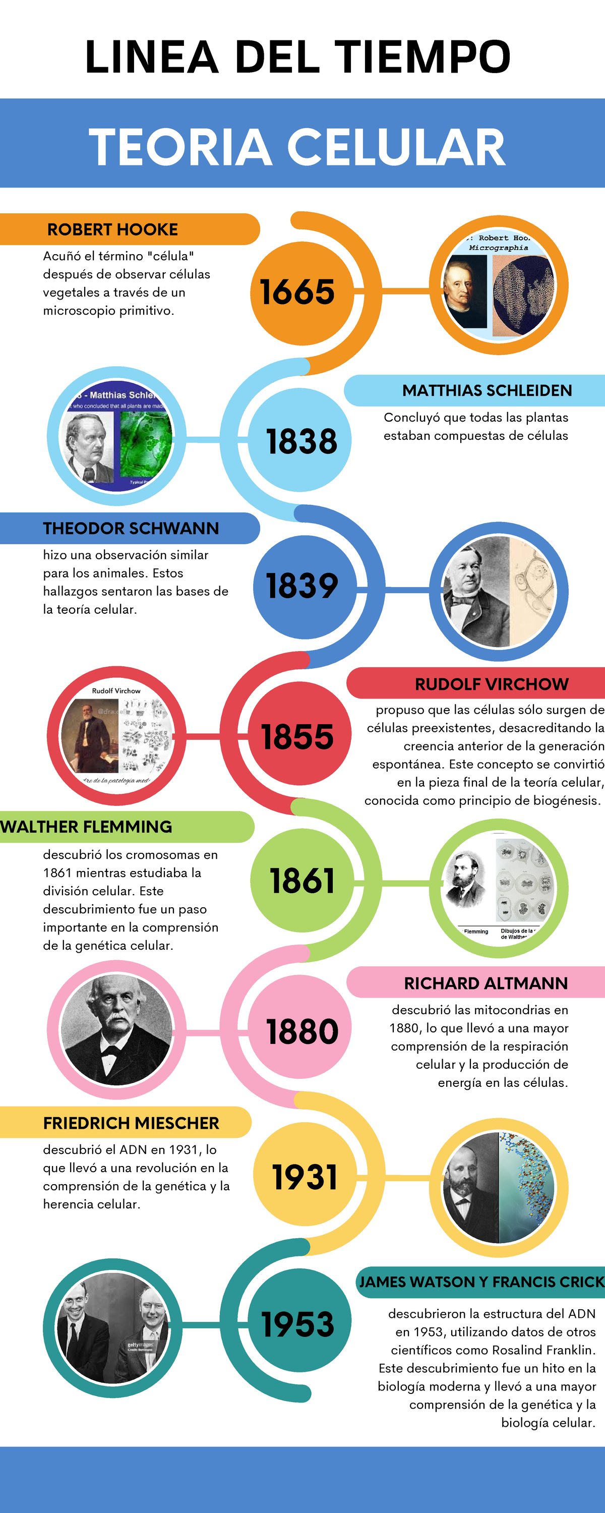 Linea de tiempo de la teoria Celular - TEORIA CELULAR LINEA DEL TIEMPO ...