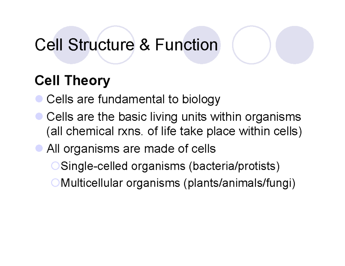 Lec6 - Lecture Notes for Bioligy - Cell Structure & Function Cell ...