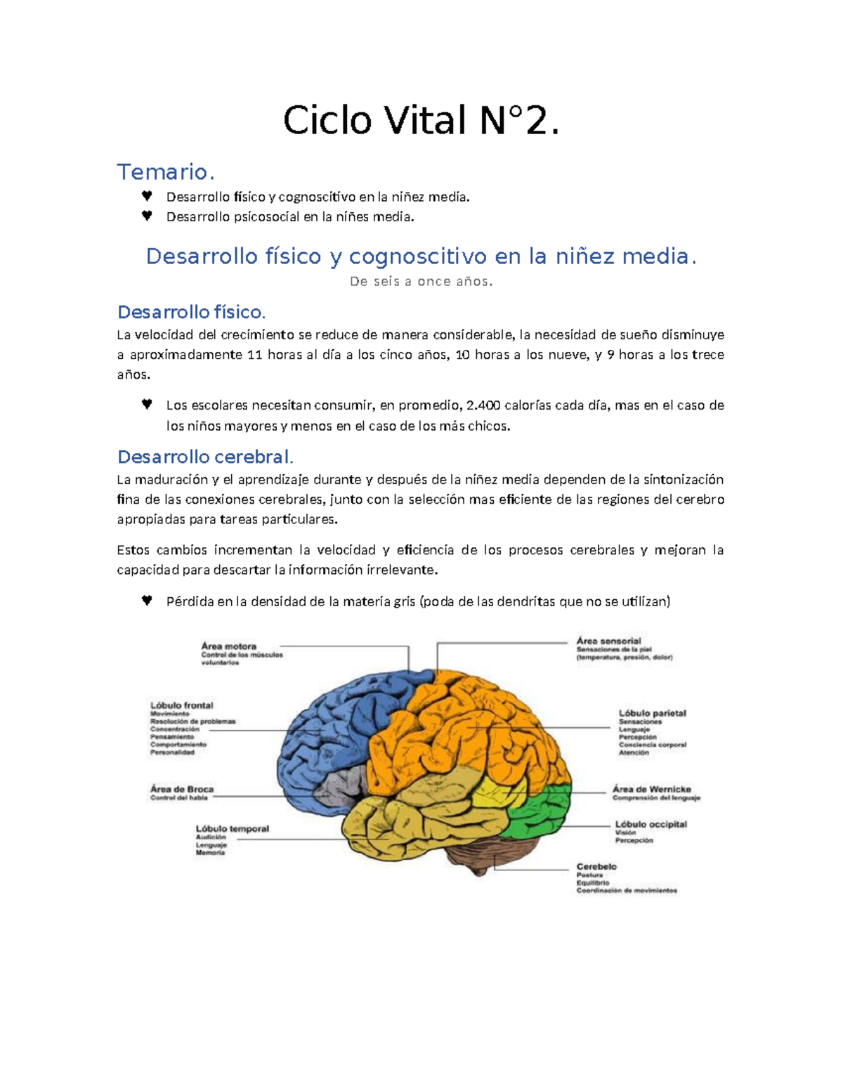Ciclo vital 2 - Ciclo Vital N°2. Temario. Desarrollo físico y ...