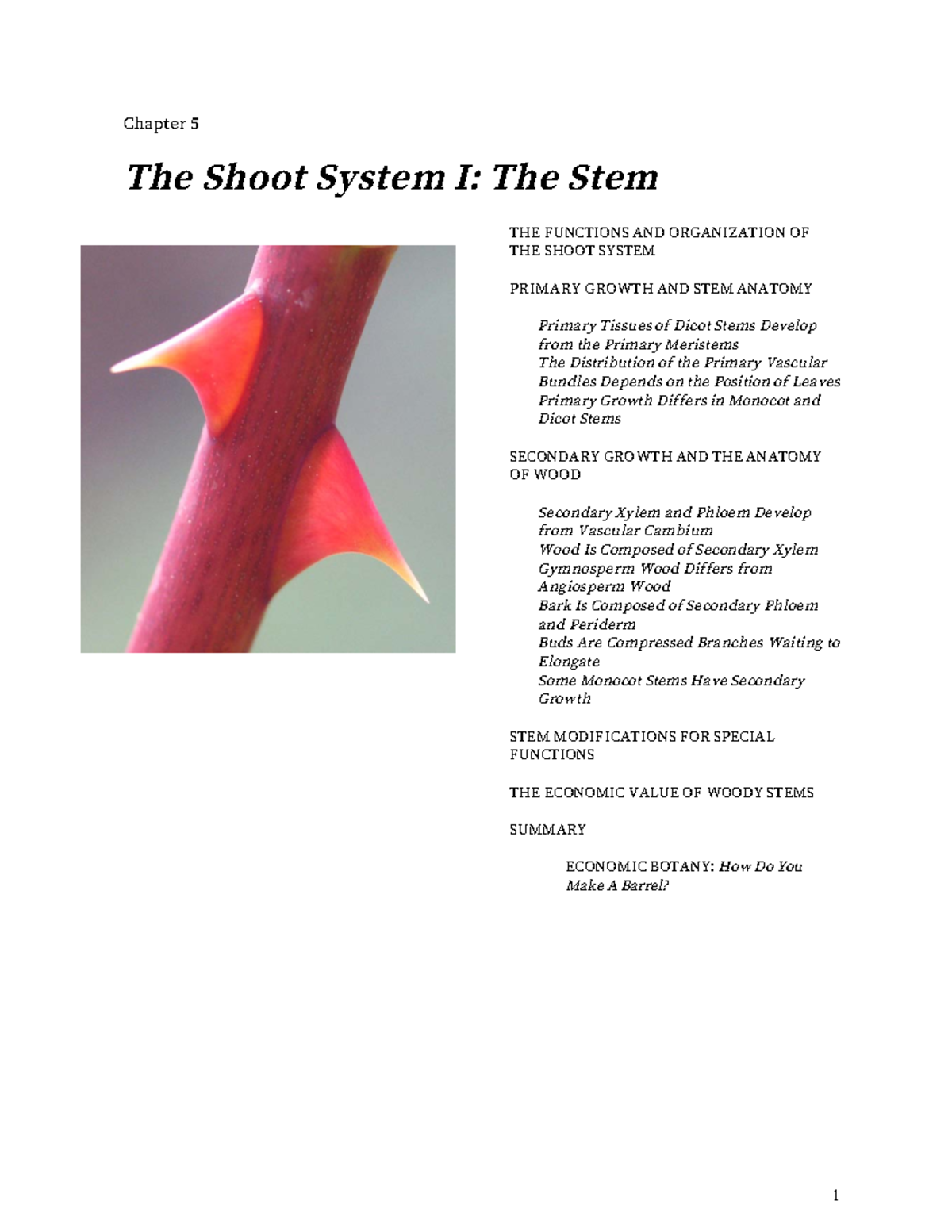 The shoot system. - Chapter 5 The Shoot System I: The Stem THE ...