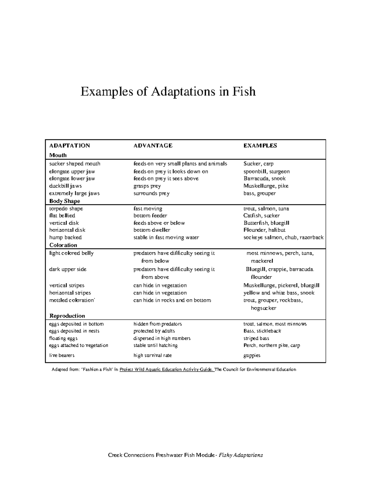 Fishy Adaptations - Creek Connections Freshwater Fish Module- Fishy ...