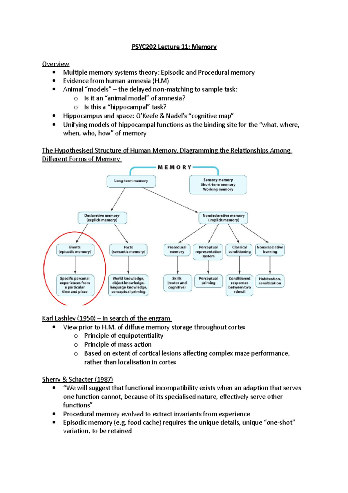 PSYC202 Lecture 11 (Notes) - PSYC202 Lecture 11: Memory Overview ...