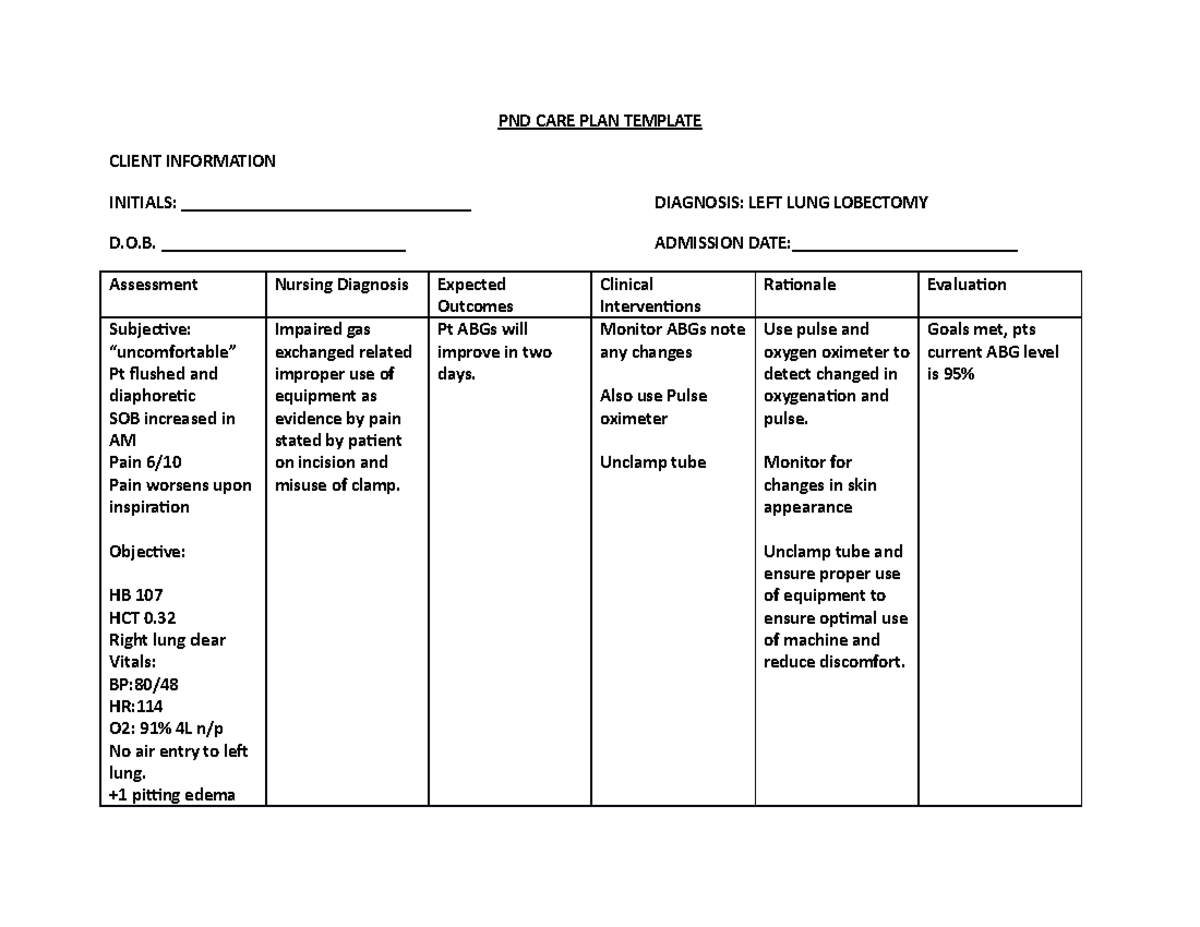 Care plan for Caron & Ricardo - PND CARE PLAN TEMPLATE CLIENT ...