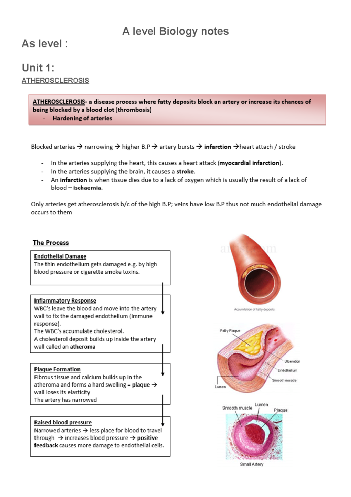407417940 A Level Biology Notes - A level Biology notes As level : Unit ...