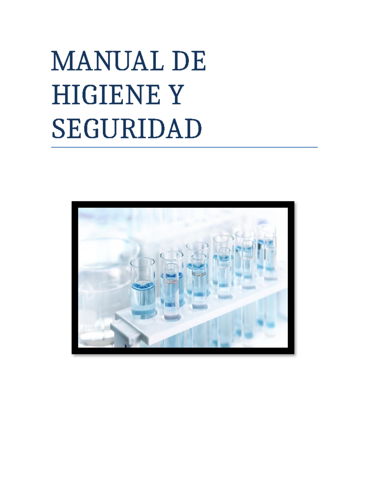 Manual DE Higiene Y Seguridad - MANUAL DE HIGIENE Y SEGURIDAD INDICE DEL MANUAL DE SEGURIDAD E ...