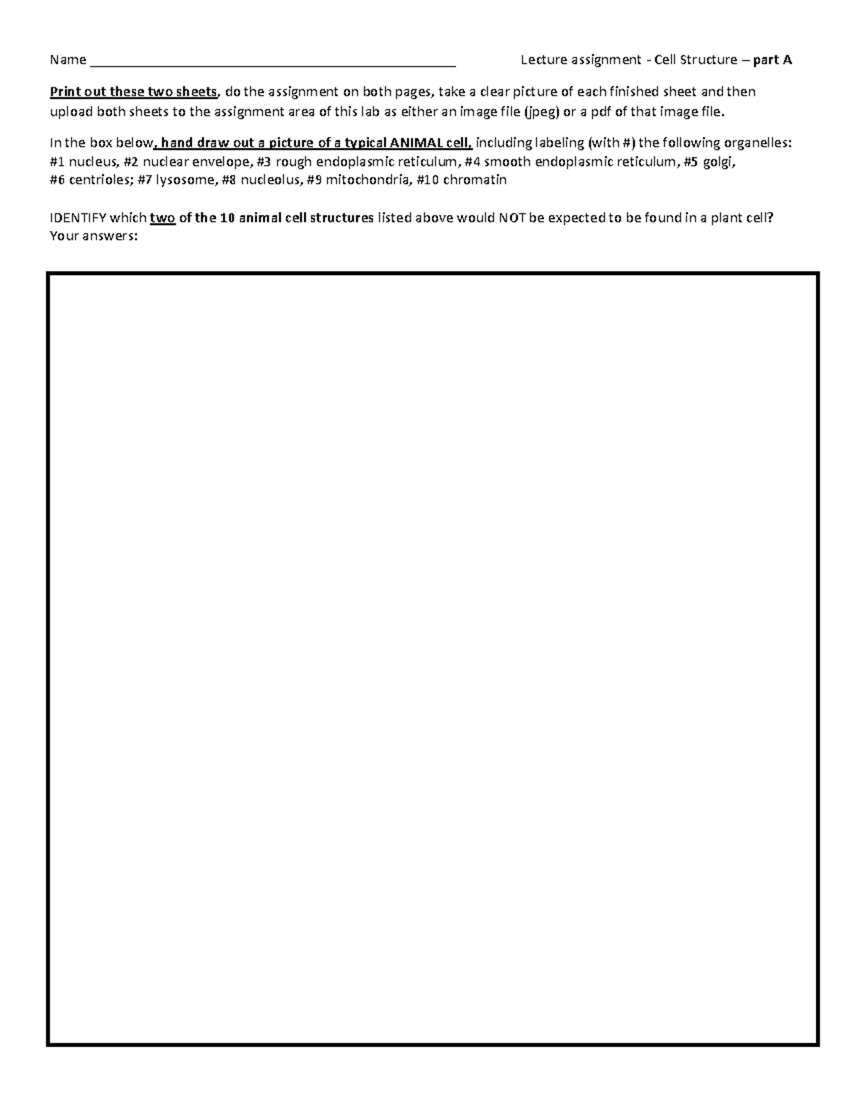 BIO 101 Cell structure worksheet - Name ...