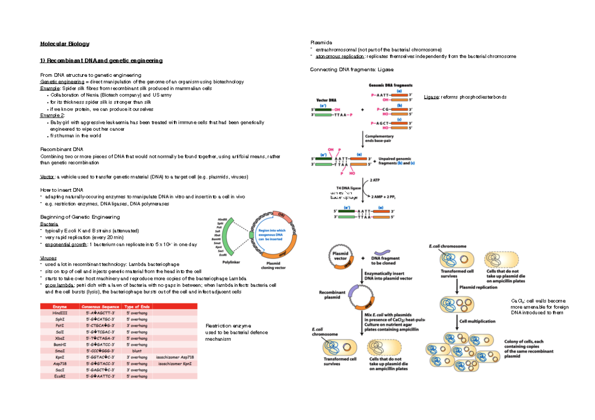 Notes Molecular Biology - Molecular Biology 1) Recombinant DNA and ...