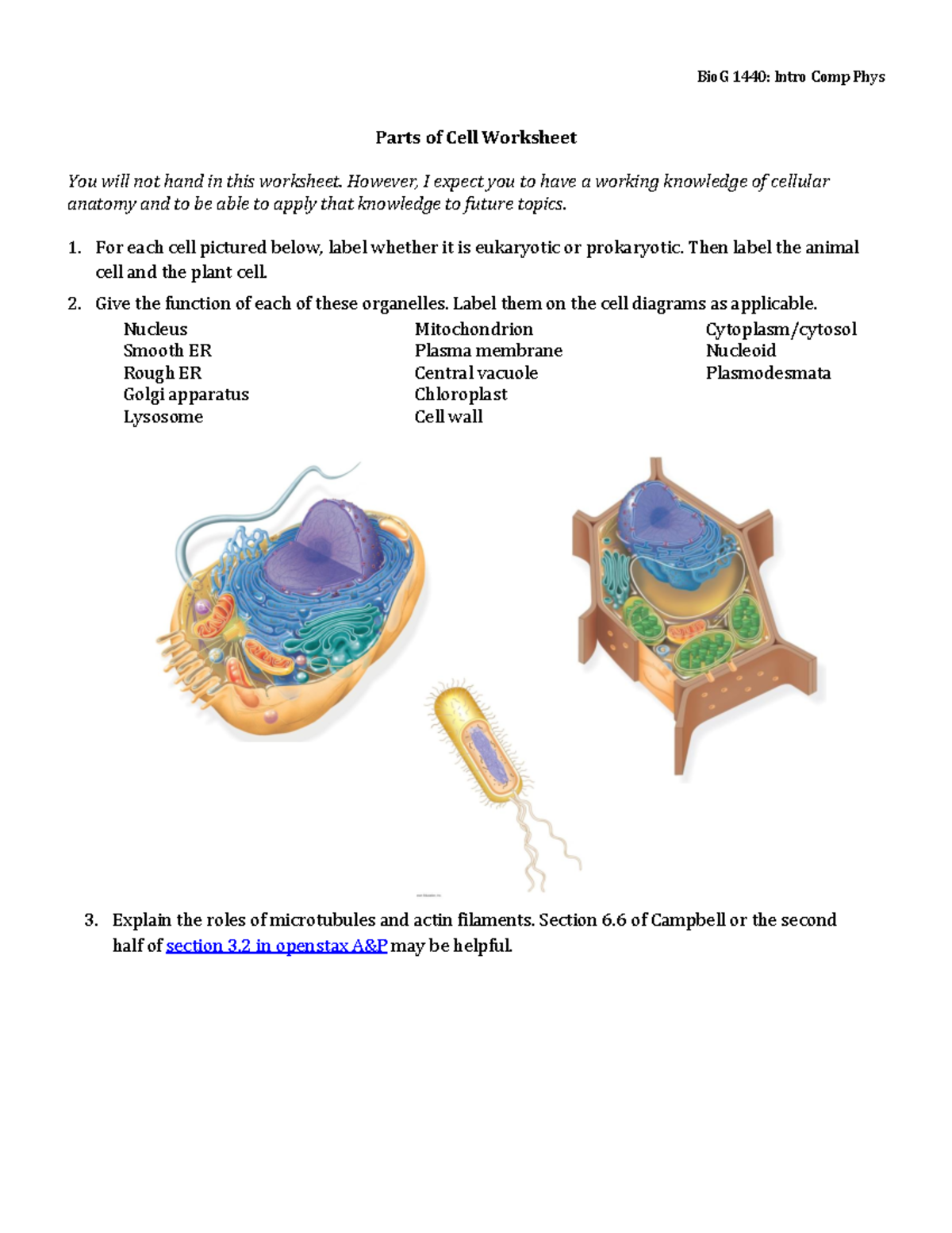6 21 Parts Of A Cell Worksheet BIOG 1440 Introductory Biology 6-21-parts-of-a-cell-worksheet-biog-1440-introductory-biology