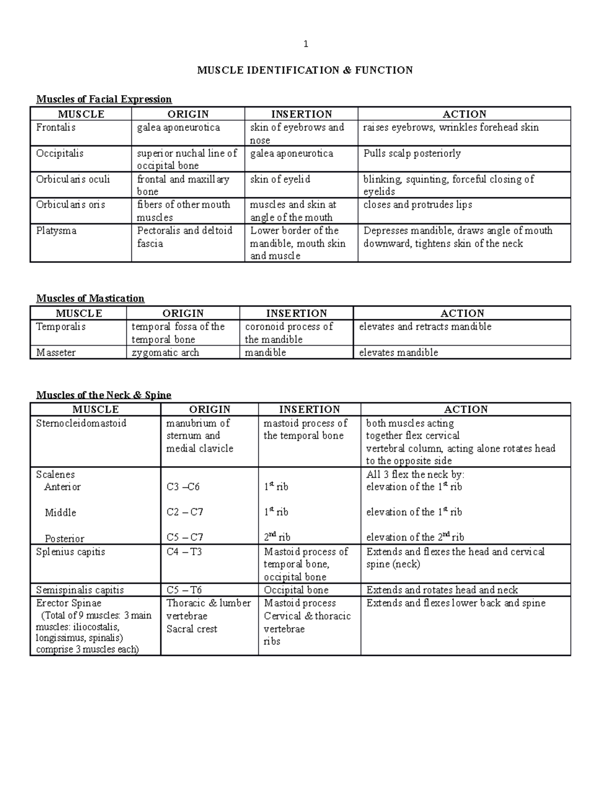 Muscle list 2120K Spring 2021 - MUSCLE IDENTIFICATION & FUNCTION ...