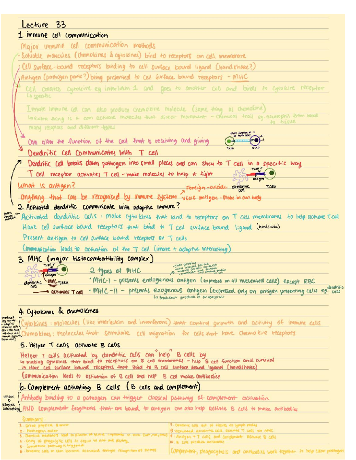 HUBS191 lecture 33 - Human Body Systems 1 - University of Otago - Studocu