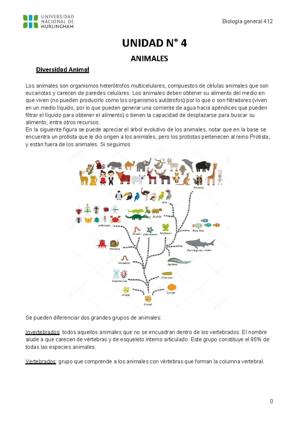 Apunte teórico Unidad 3 - Animal - UNIDAD N° 4 ANIMALES Diversidad ...