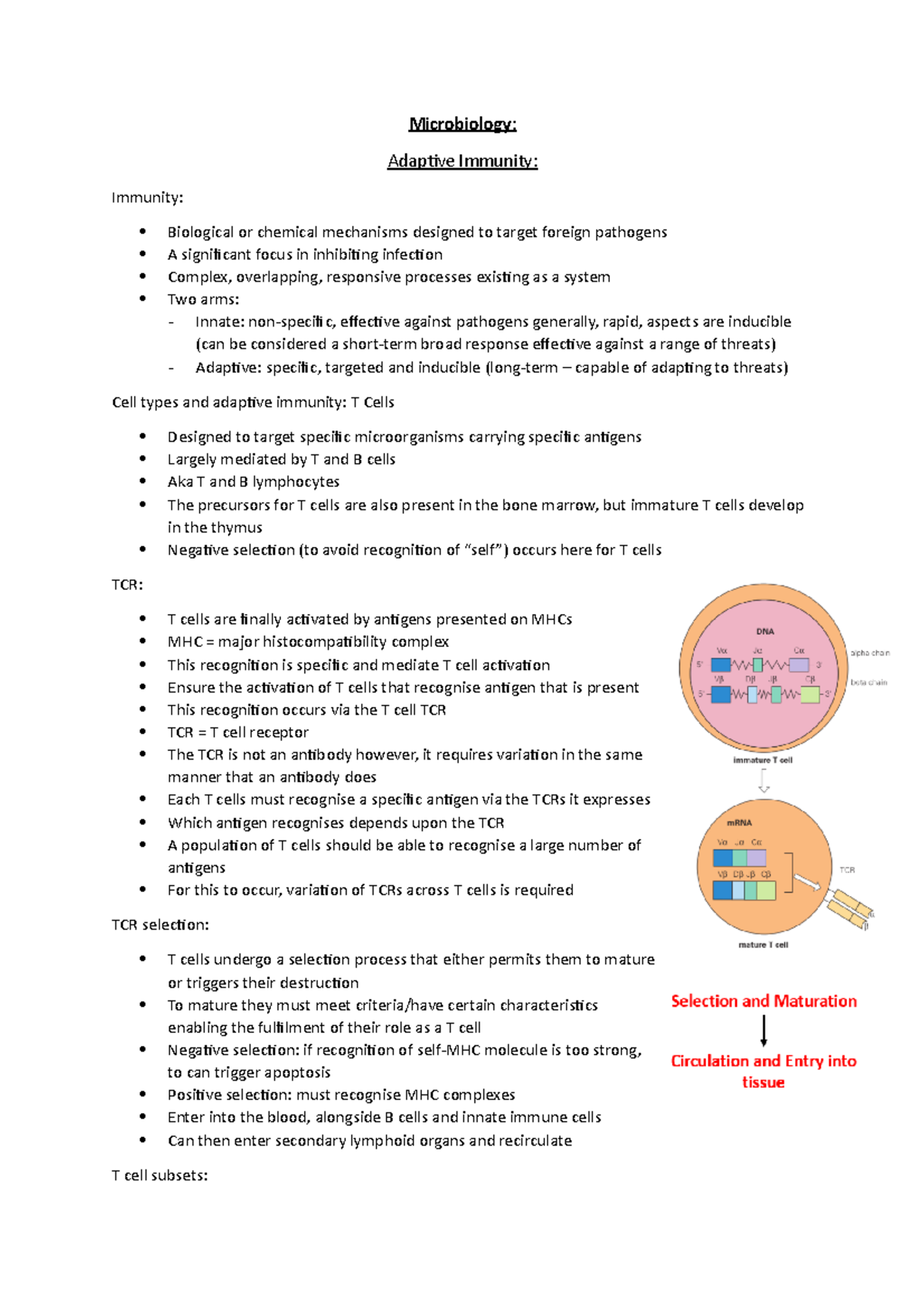 Lecture 14 - Adaptive Immunity - Microbiology : Adaptive Immunity ...