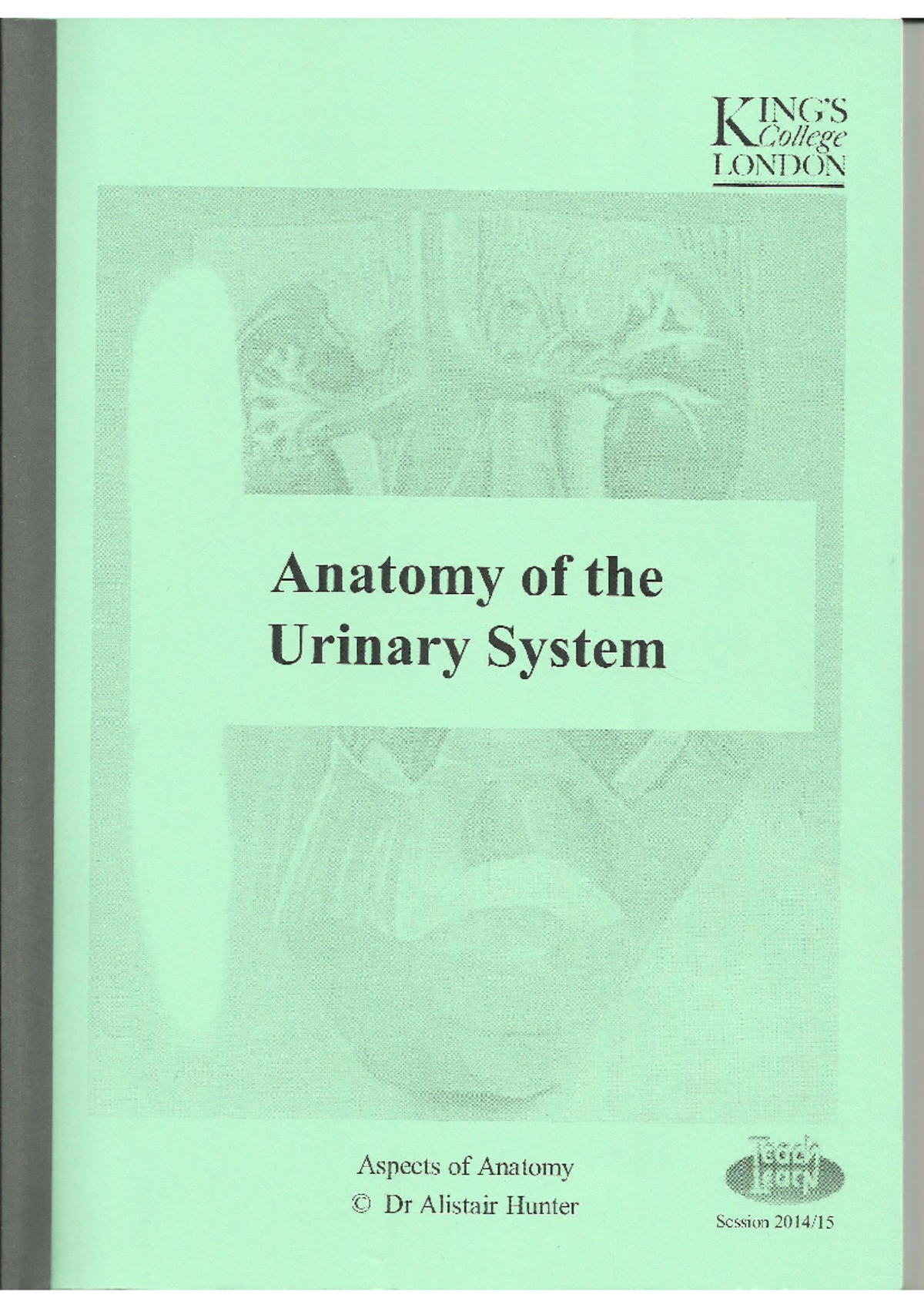 Anatomy booklet - Urinary System - MBBS1 - Studocu