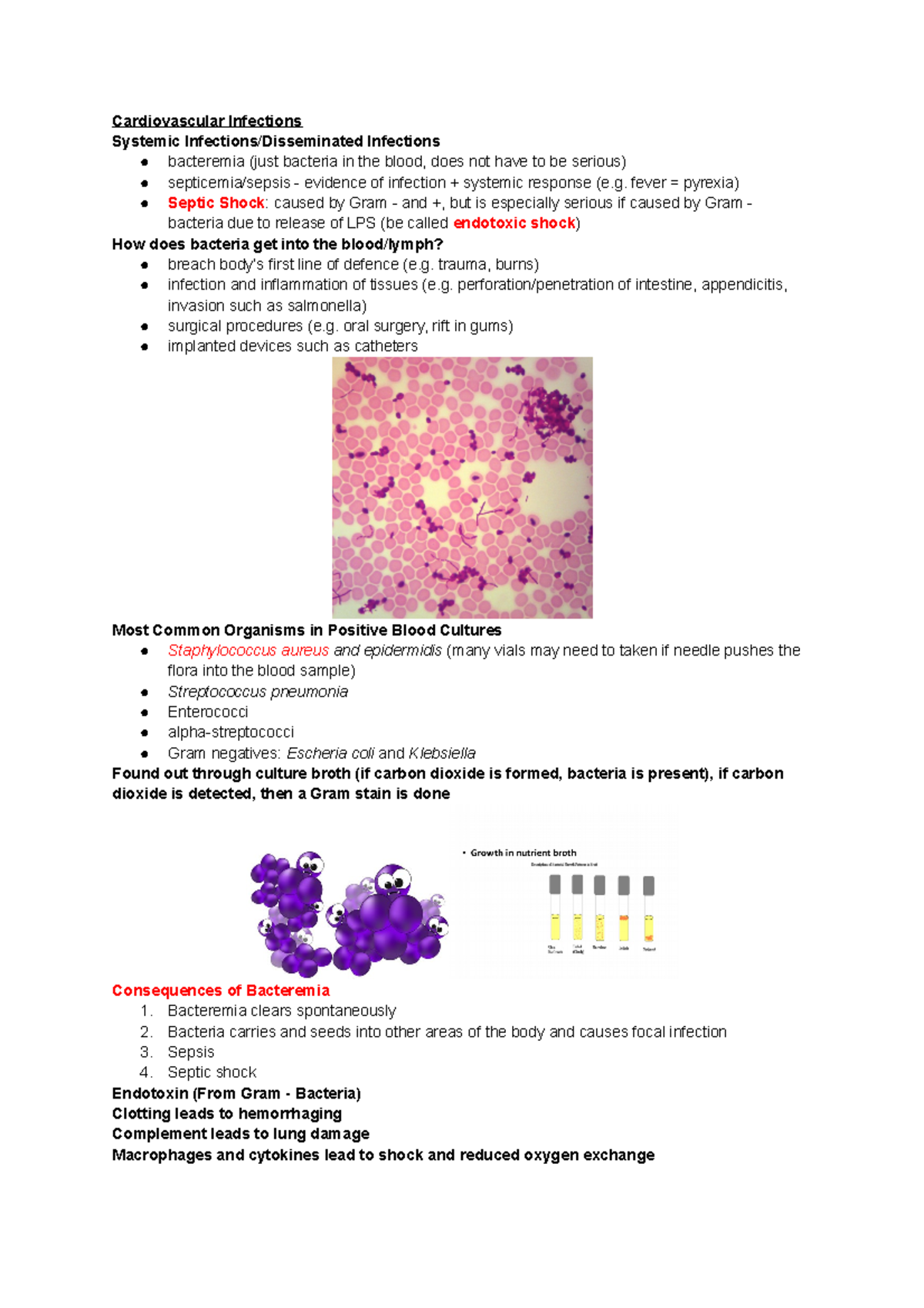 Chapter 22 - Cardiovascular & Lymphatic Infections - Cardiovascular ...