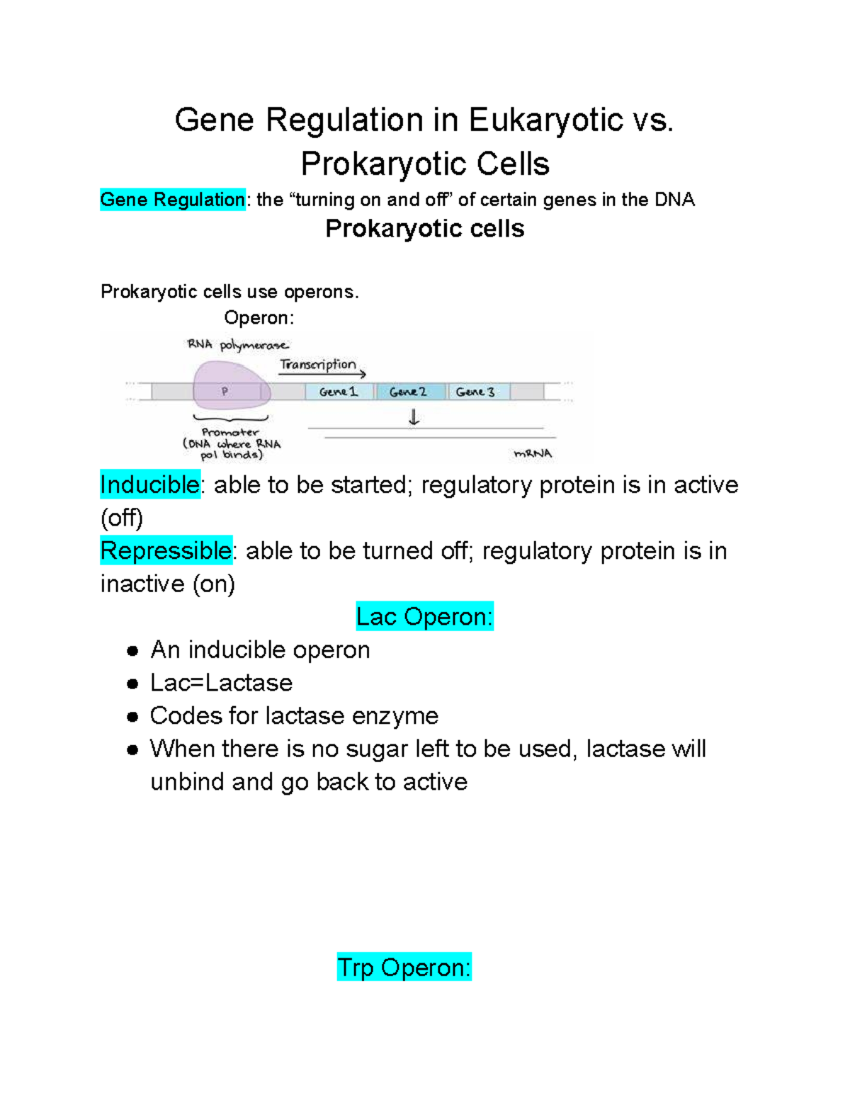 Gene Regulation - Extra notes to study if you need any help :) - Gene ...