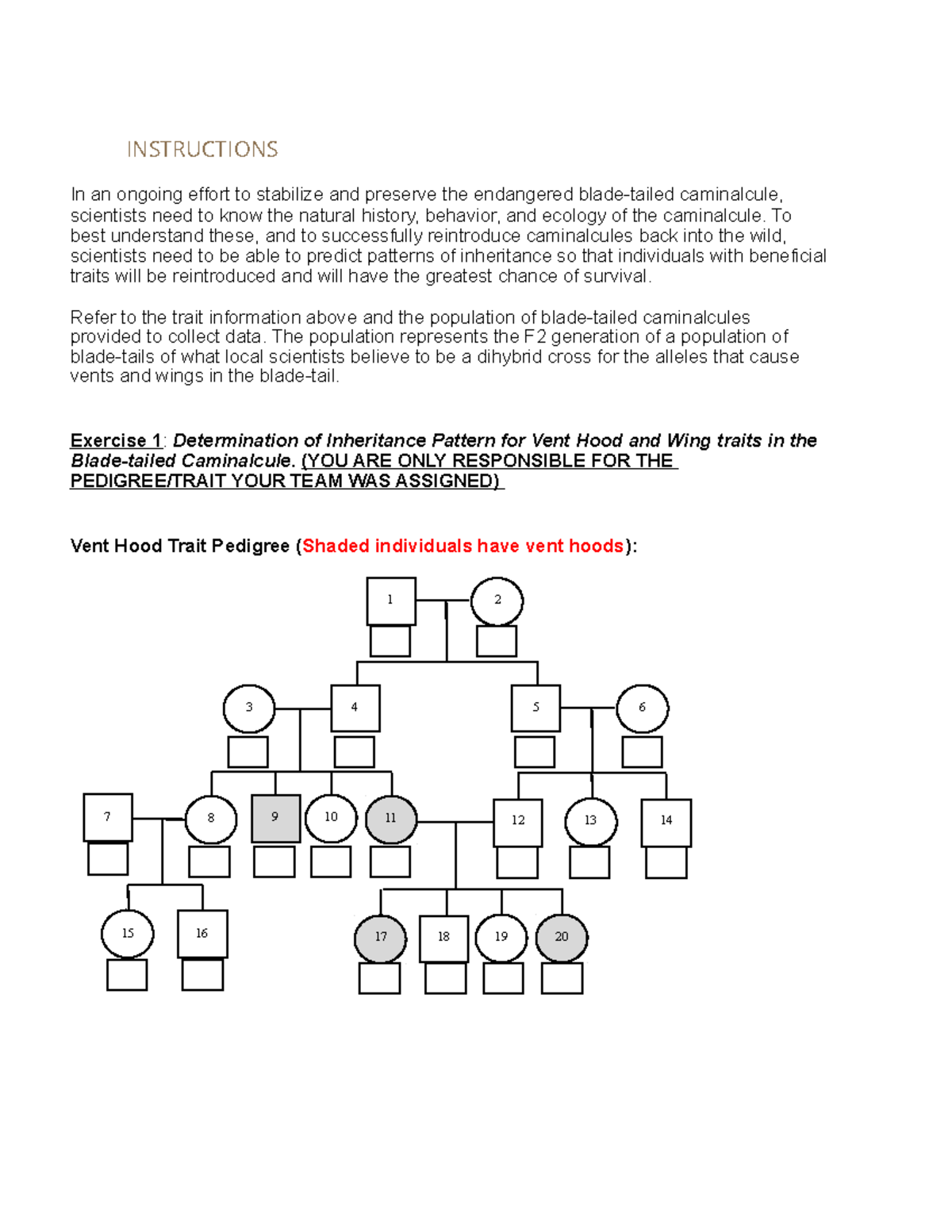 CCP 2 Assignment - Notes - INSTRUCTIONS In an ongoing effort to ...