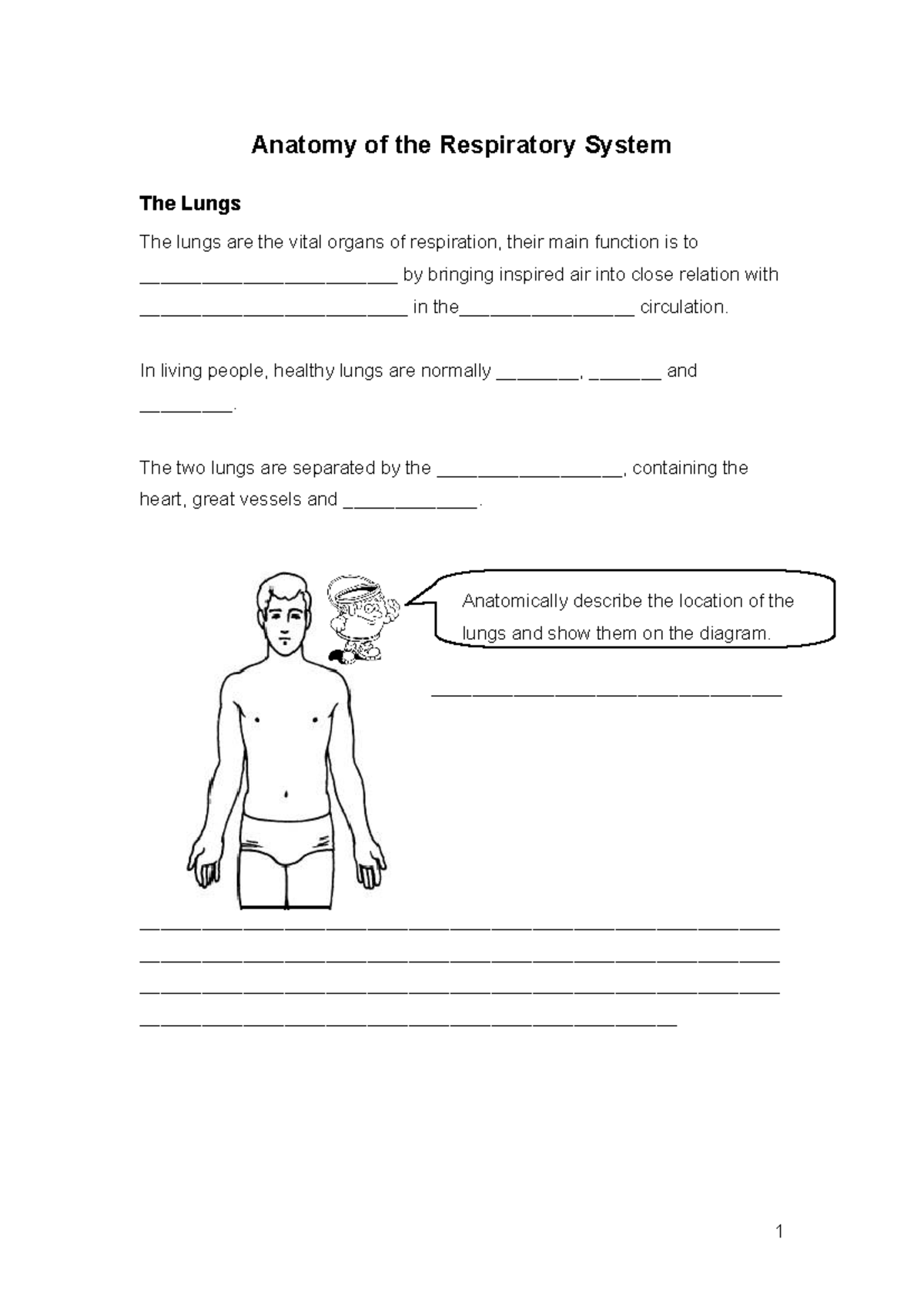 5. Respiratory System - Handout - Anatomy of the Respiratory System The ...
