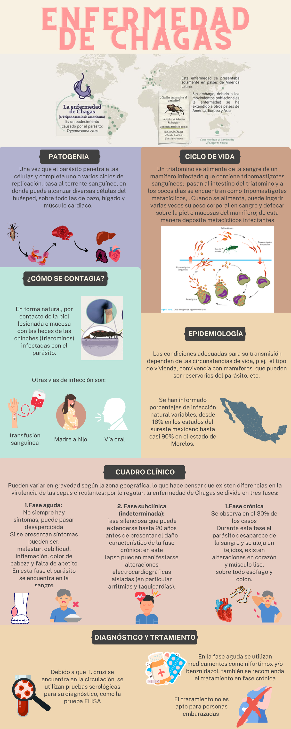 Trypanosomas cruzi enfermedad de chagas - reallygreatsite Un triatomino ...