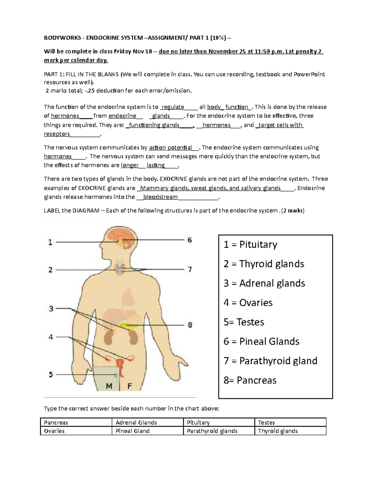 Endrocine assignment - BODYWORKS - ENDOCRINE SYSTEM –ASSIGNMENT/ PART 1 ...