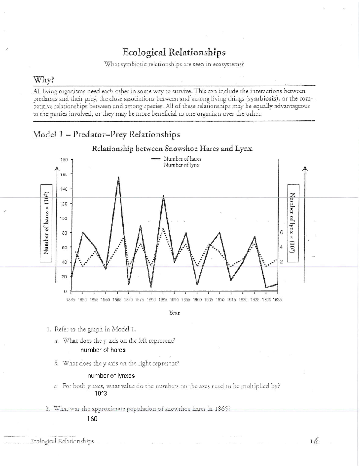 Kami Export-Ecological Relationships - Studocu