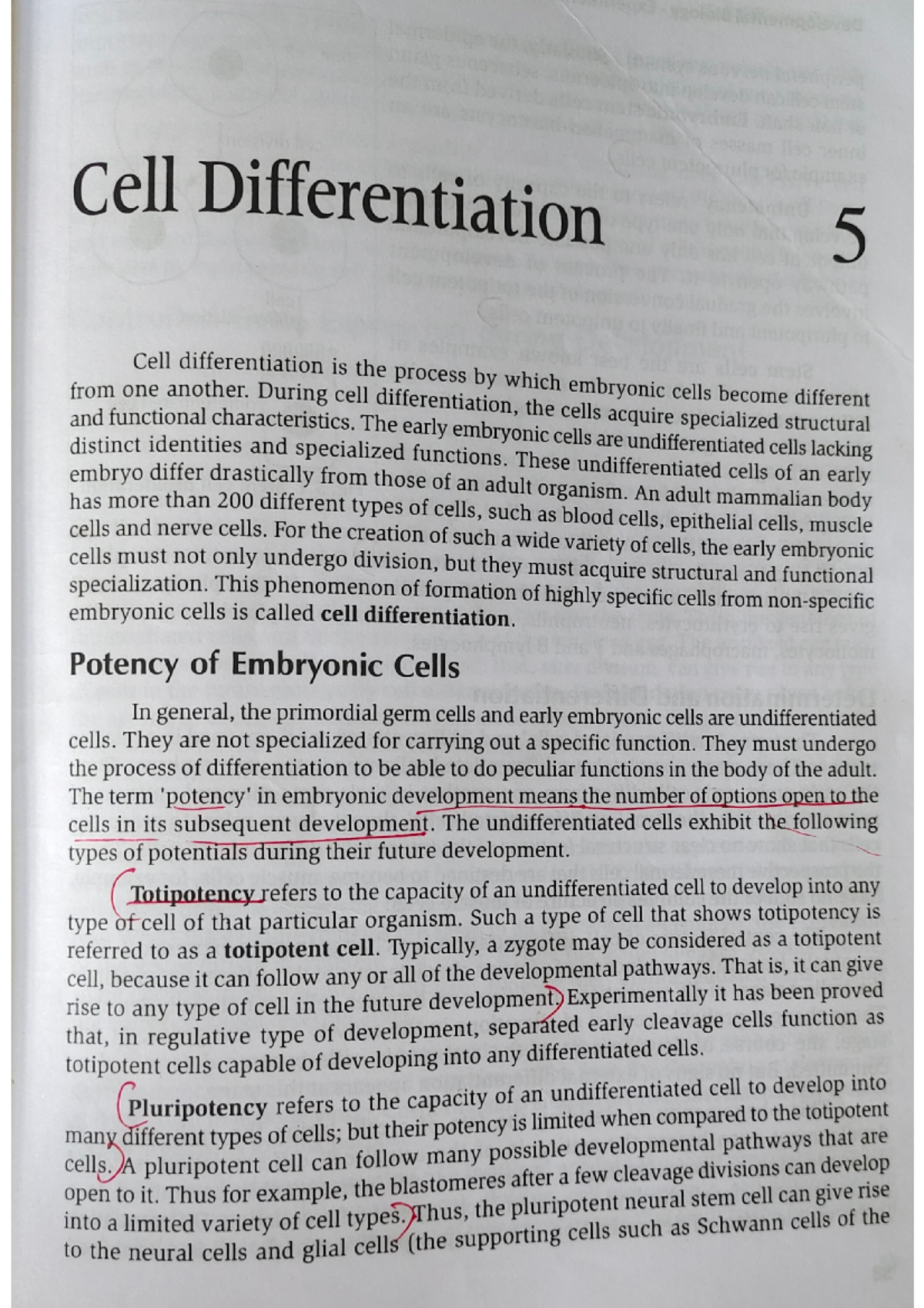 Cell differentiation - Useful notes - Zoology - Studocu