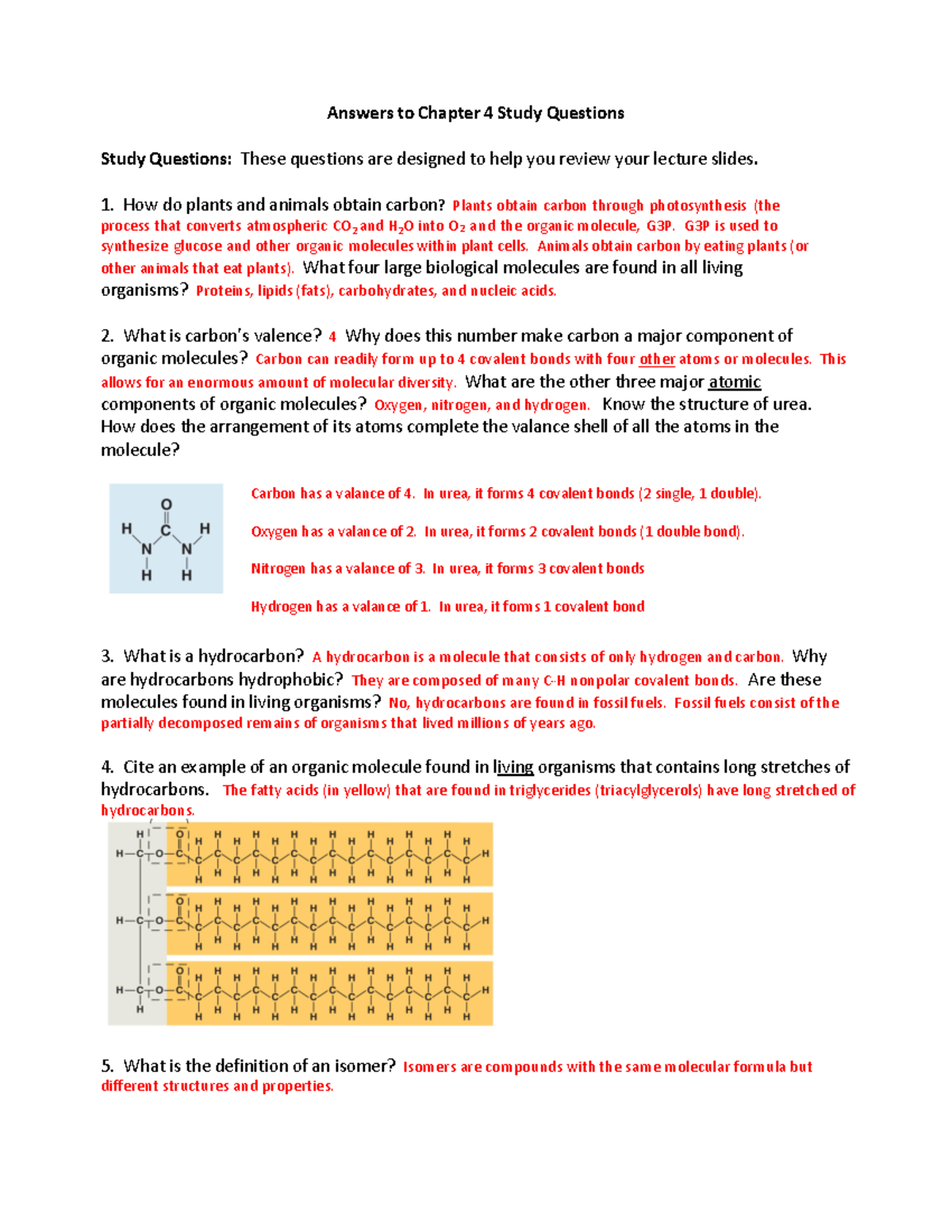 Chapter 4 Study Guide Answers - Warning: TT: undefined function: 32 Answers to Chapter 4 Study ...