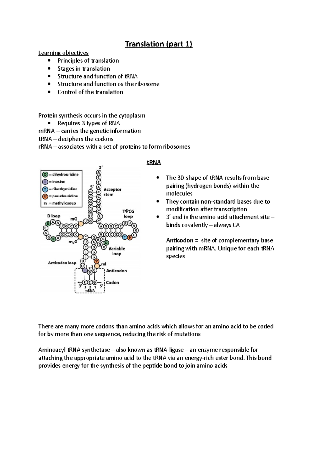 Translation (part 1) - Lt 13 - Translation (part 1) Learning objectives ...
