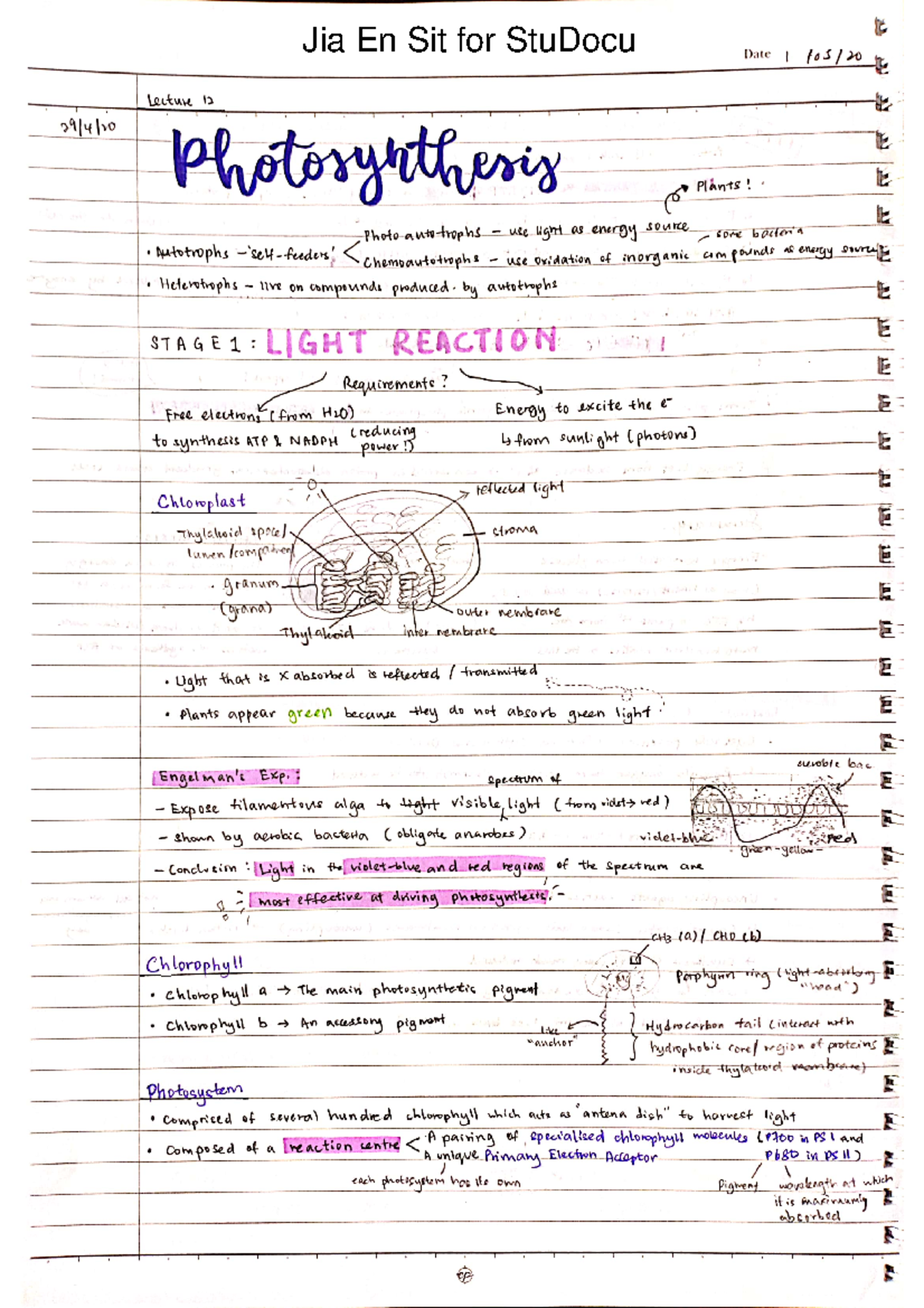 Photosynthesis Notes BIO1201 - Light Reaction & Carbon Fixation ...
