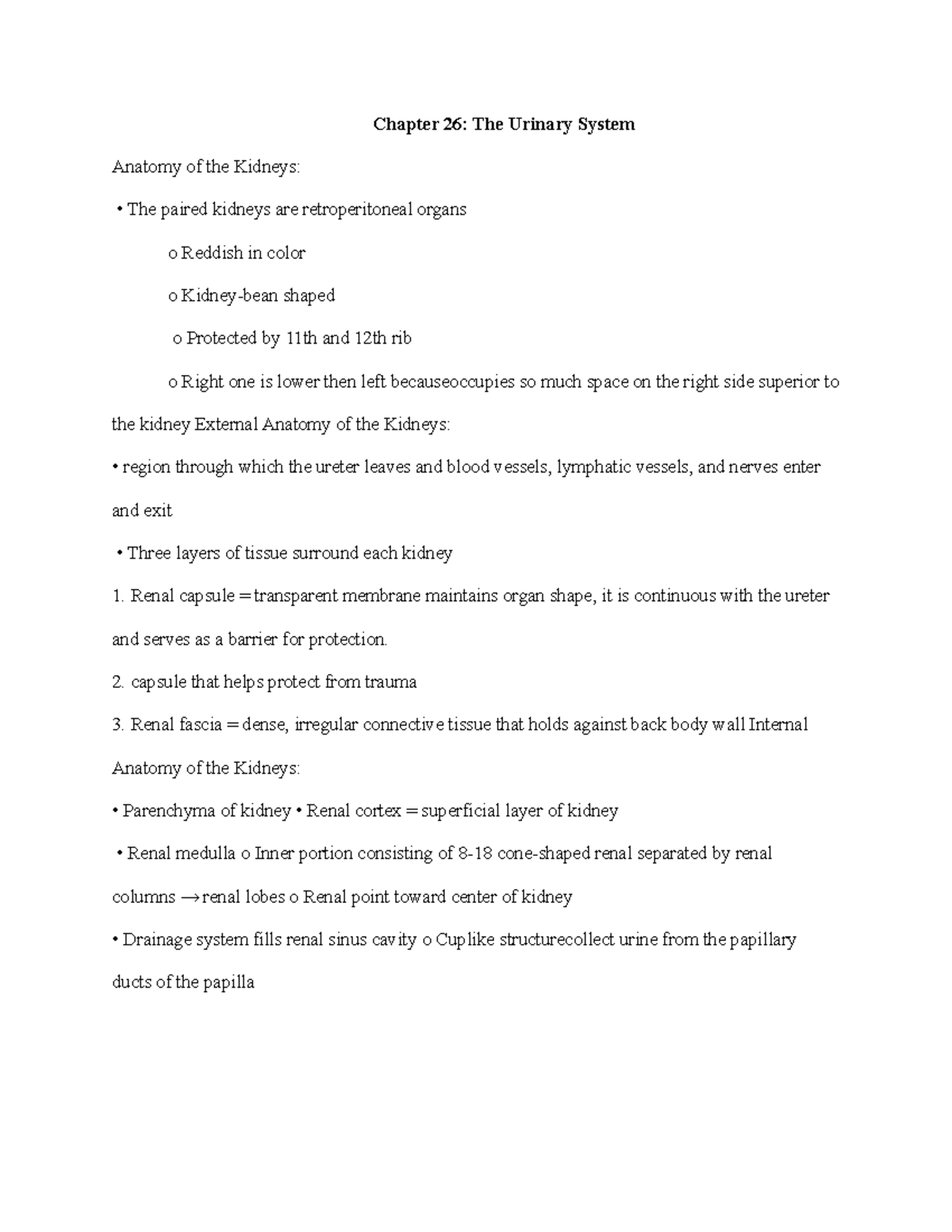 Chapter 26 The Urinary System 7 - Chapter 26: The Urinary System ...