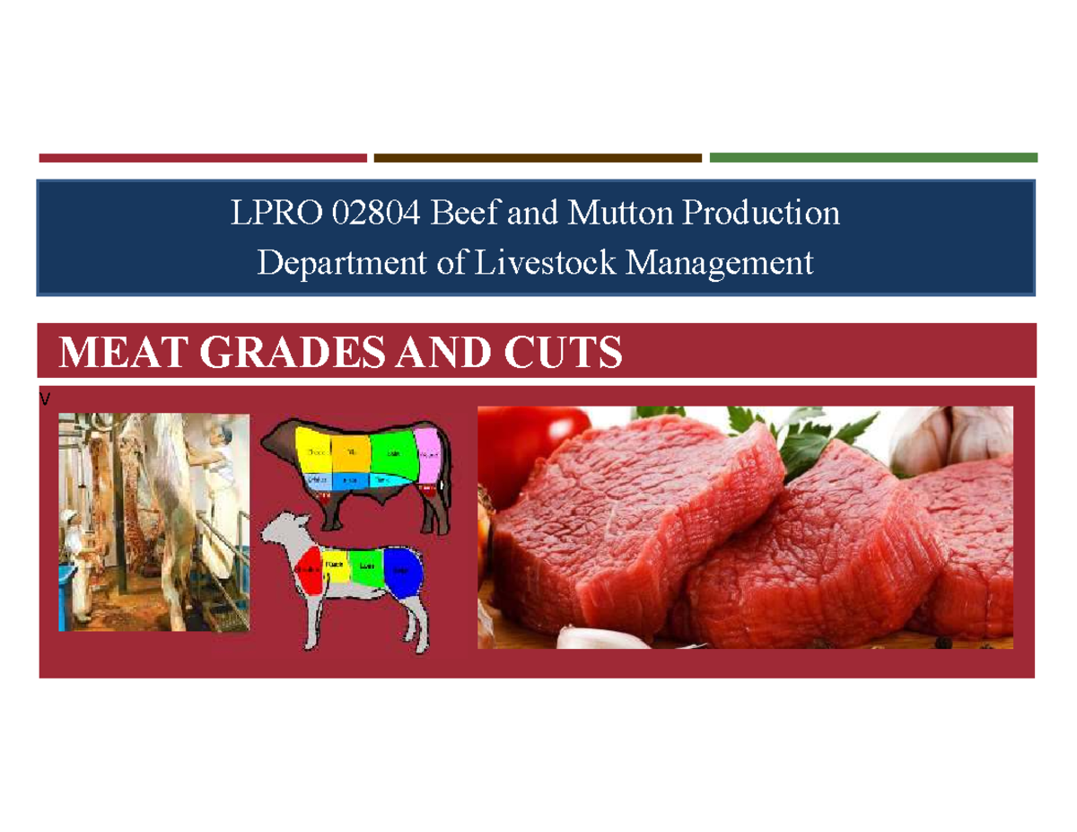 Carcass grades - V MEAT GRADES AND CUTS LPRO 02804 Beef and Mutton ...